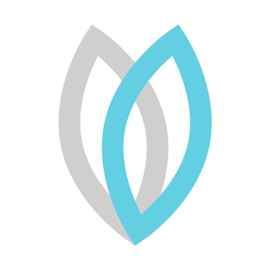 Skymint Legal Traverse City, MI Dispensary | MAMA'S GANJA